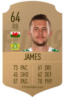 Tom James FIFA 19 Rating, Card, Price