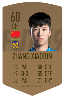 Xiaobin Zhang FIFA 19 Rating, Card, Price