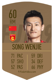 Wenjie Song FIFA 19 Rating, Card, Price