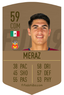 Roberto Meraz FIFA 19 Rating, Card, Price